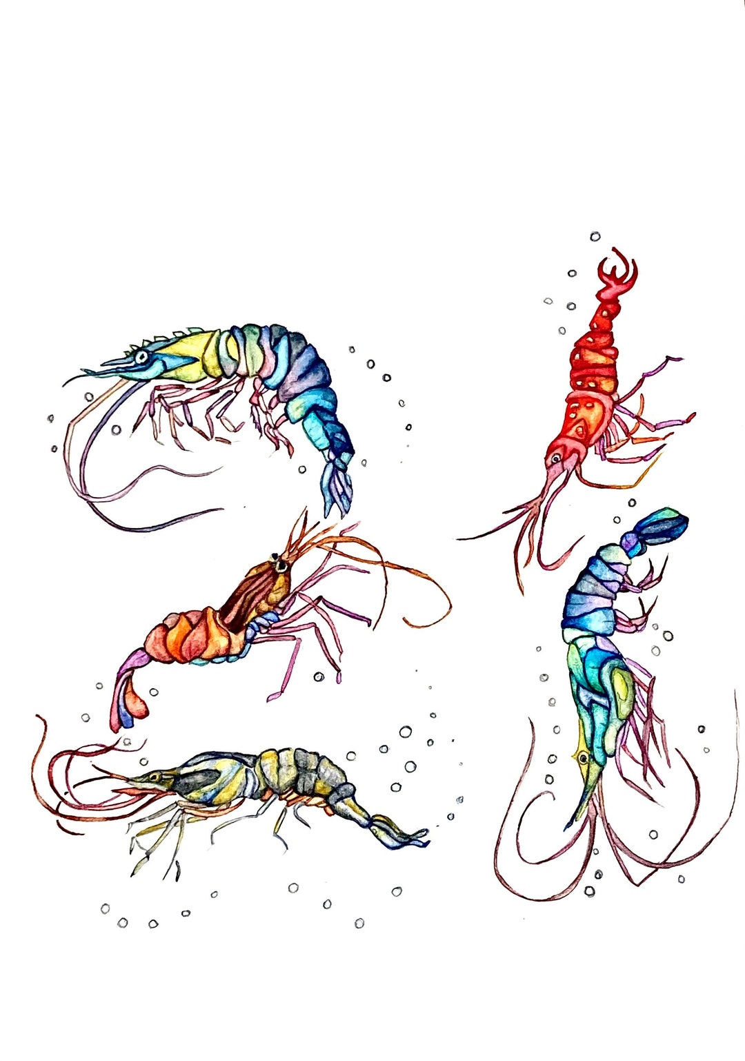 21st Birthday Card- ‘happy Birthday Shrimp!’ - Etsy