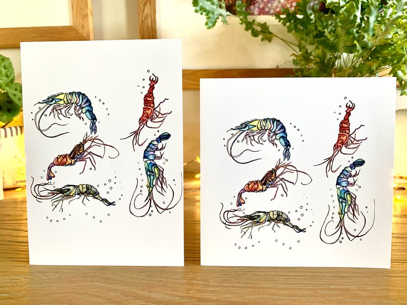 21st Birthday Card- ‘happy Birthday Shrimp!’ - Etsy