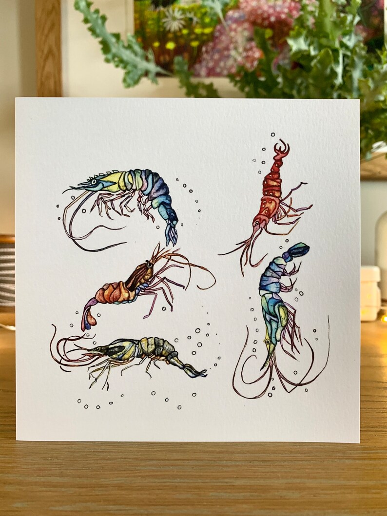 21st Birthday Card- ‘happy Birthday Shrimp!’ - Etsy