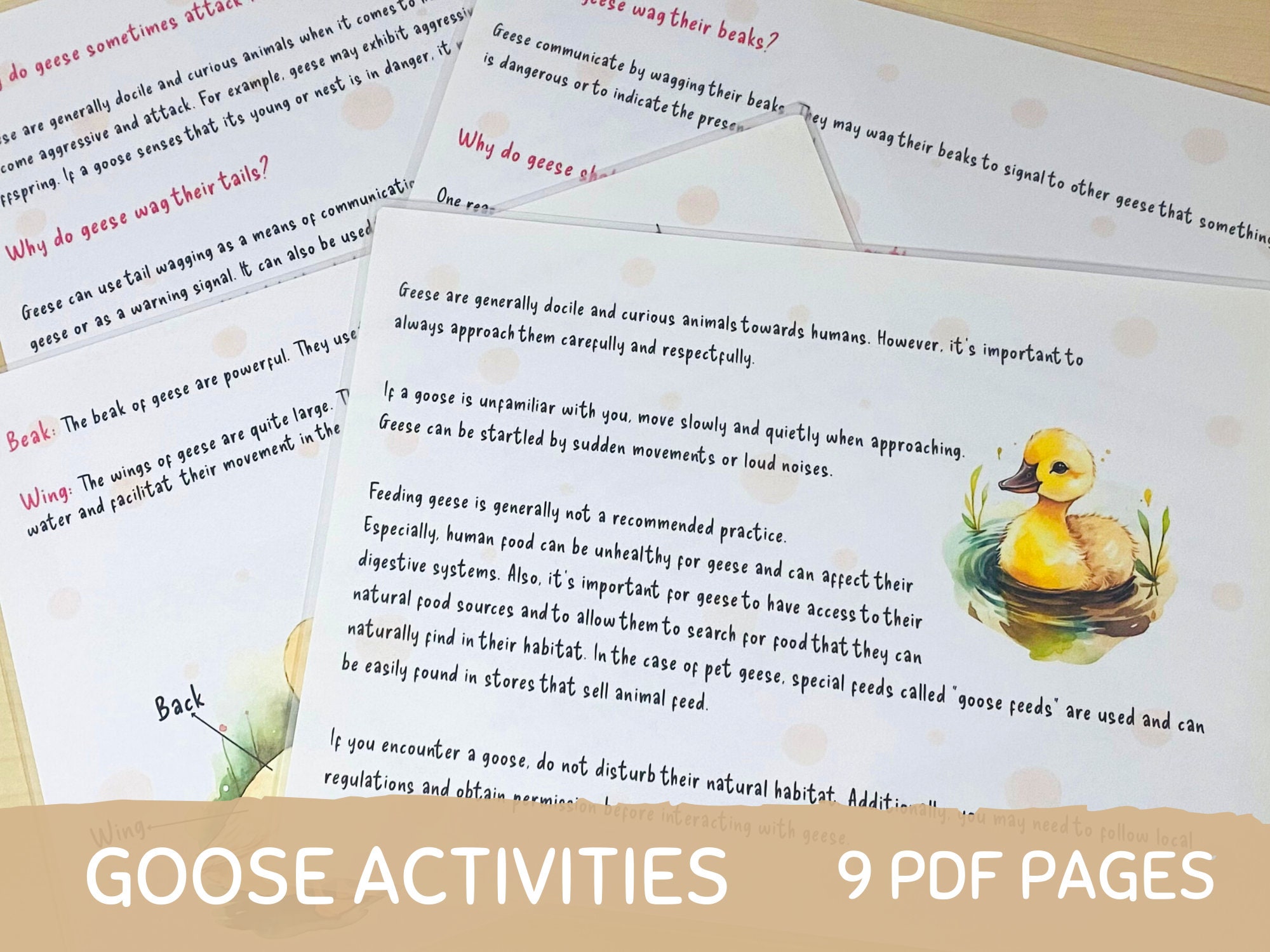 Goose Study Activity Life Cycle of Goose Homeschool - Etsy
