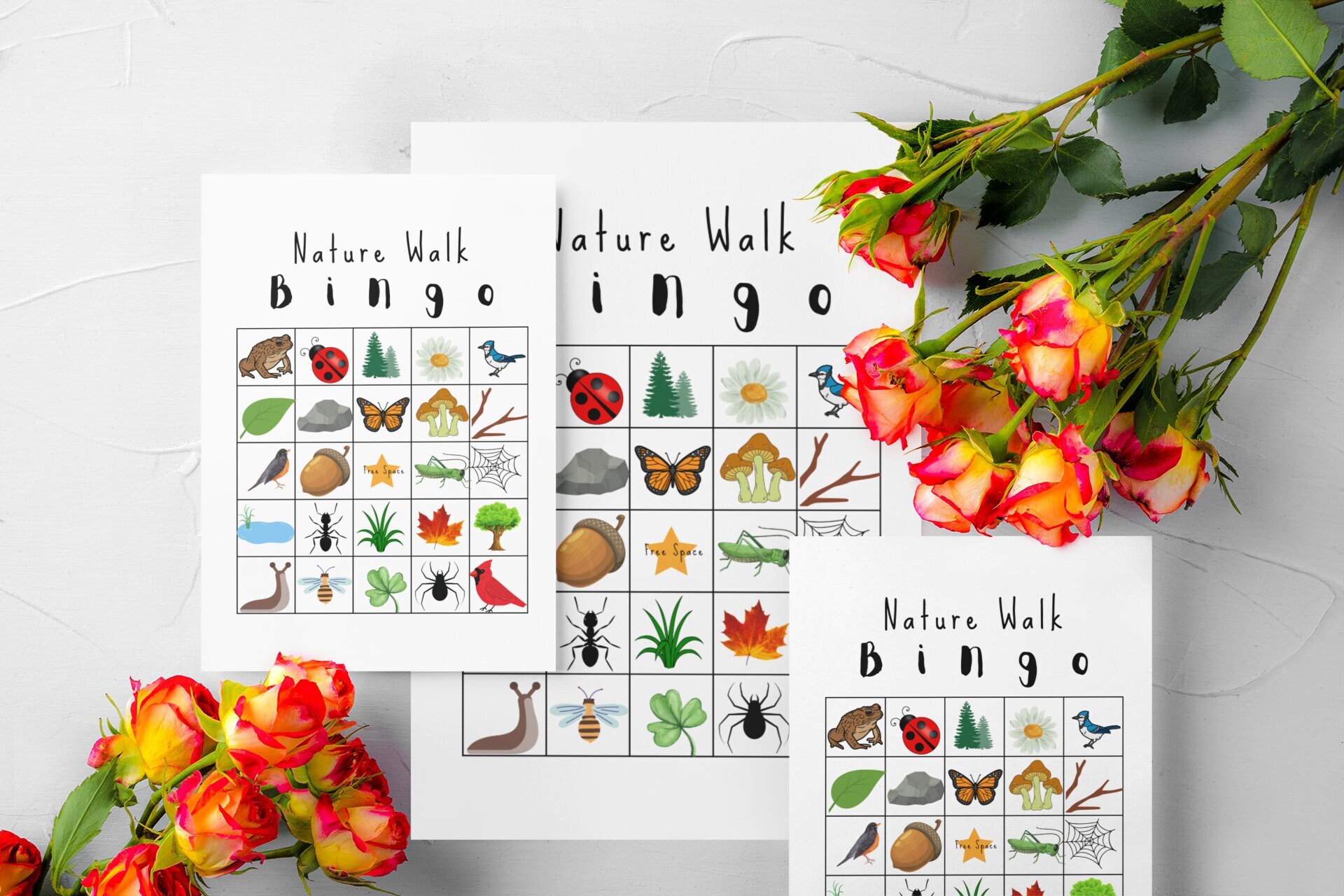 Nature Walk Bingo - Etsy