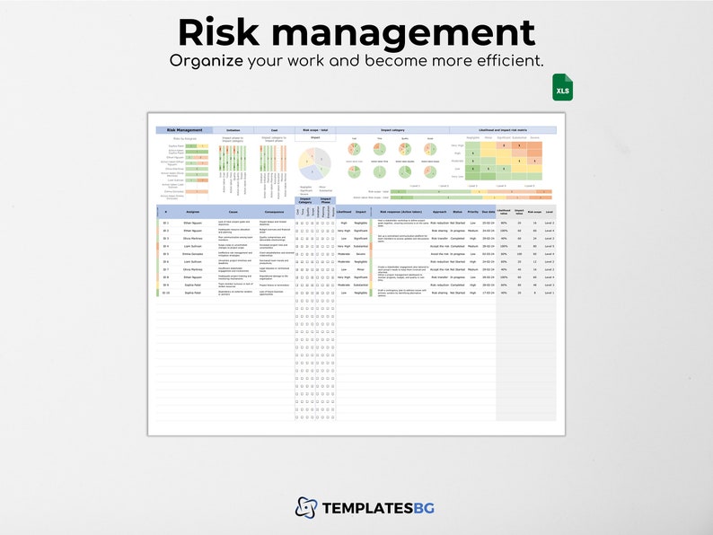 Risk Management Excel Spreadsheet: Project Management Business ...