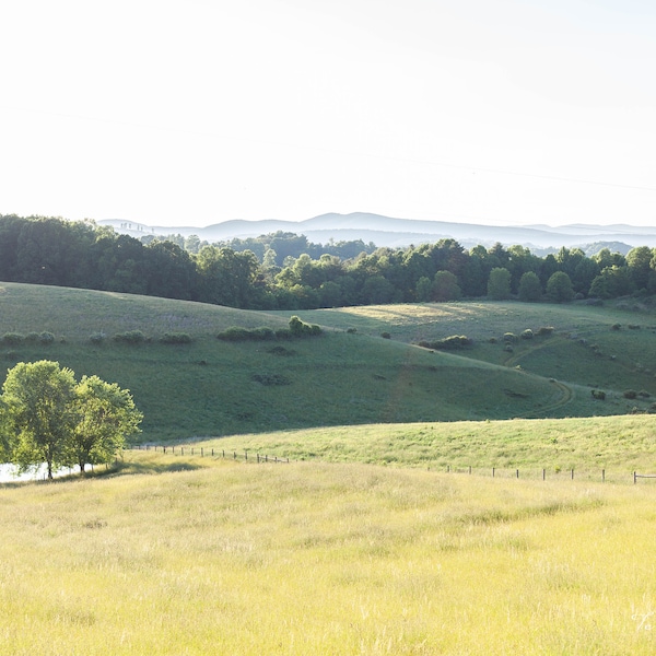 Rolling Hills Svg - Etsy