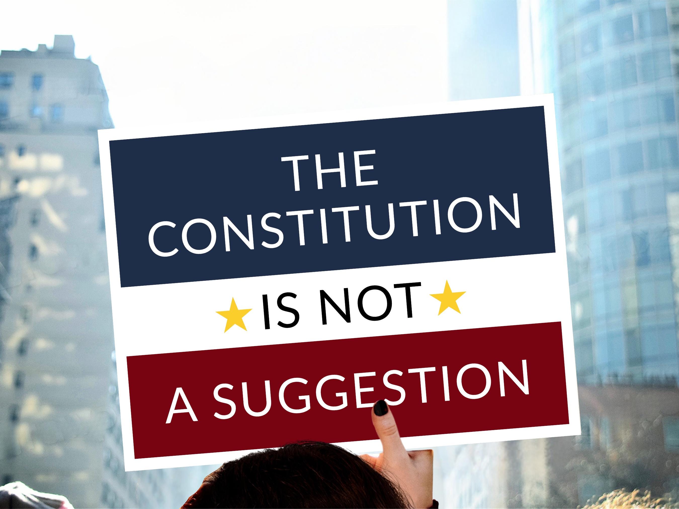 Constitution Protest Sign, Anti Trump No Kings Day Print, Political ...