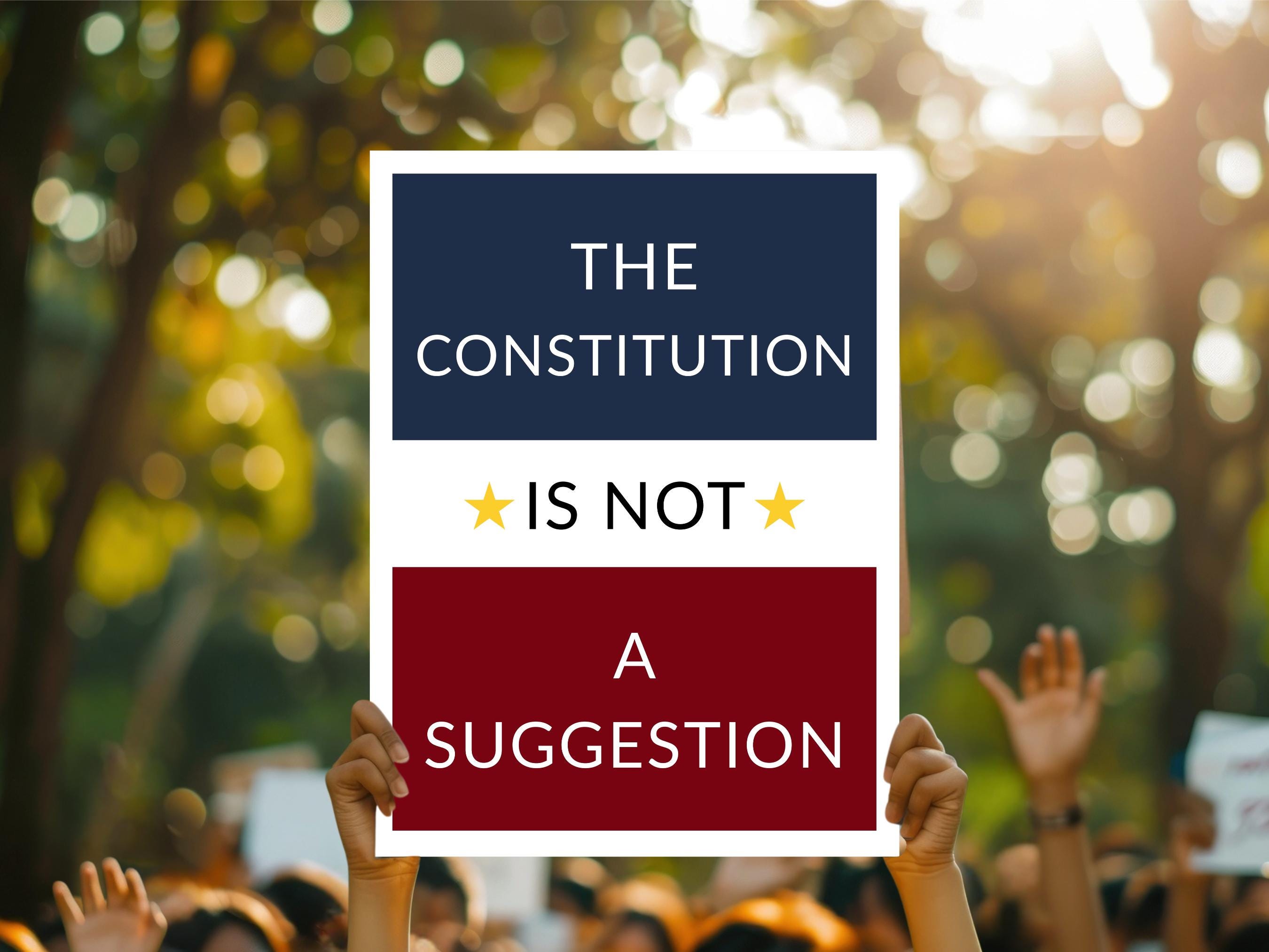 Constitution Protest Sign, Anti Trump Political Poster, Printable March ...