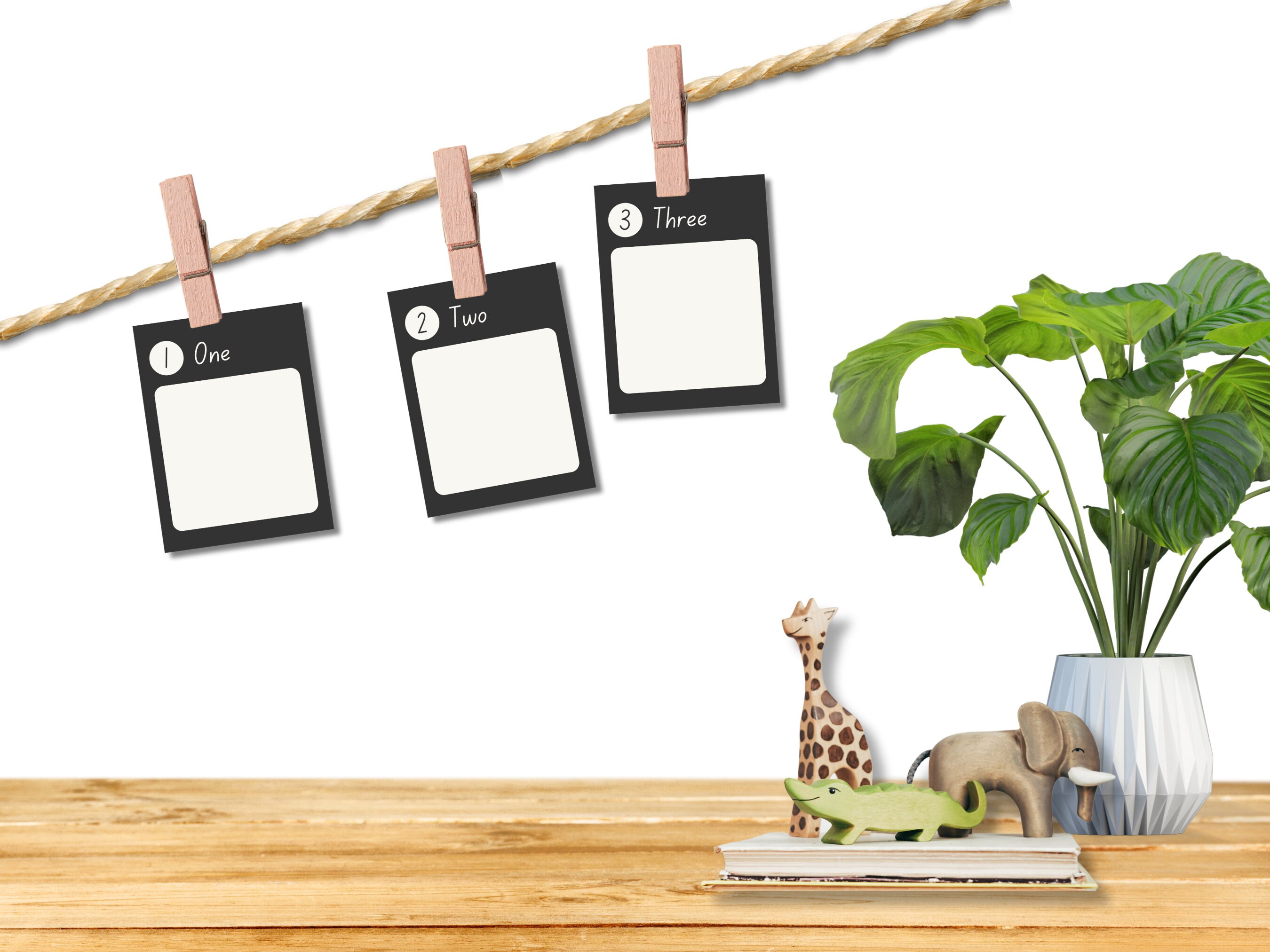 Number & Counting Display Cards - Reggio Emilia Math Provocation - Etsy