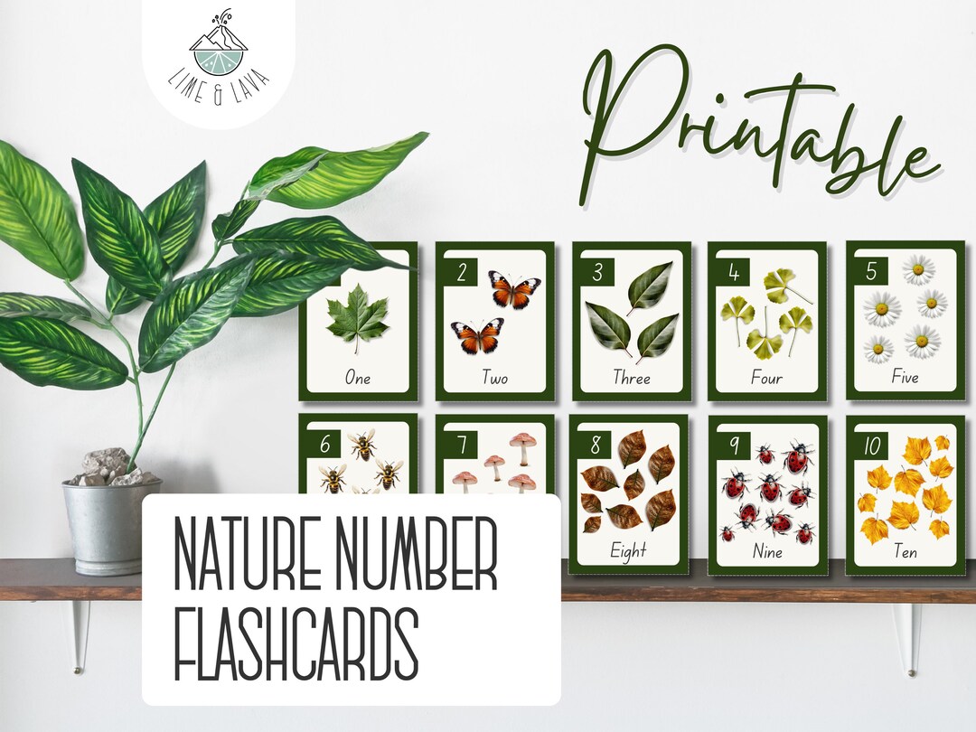 Nature Number Cards - Printable 1-10 - Etsy