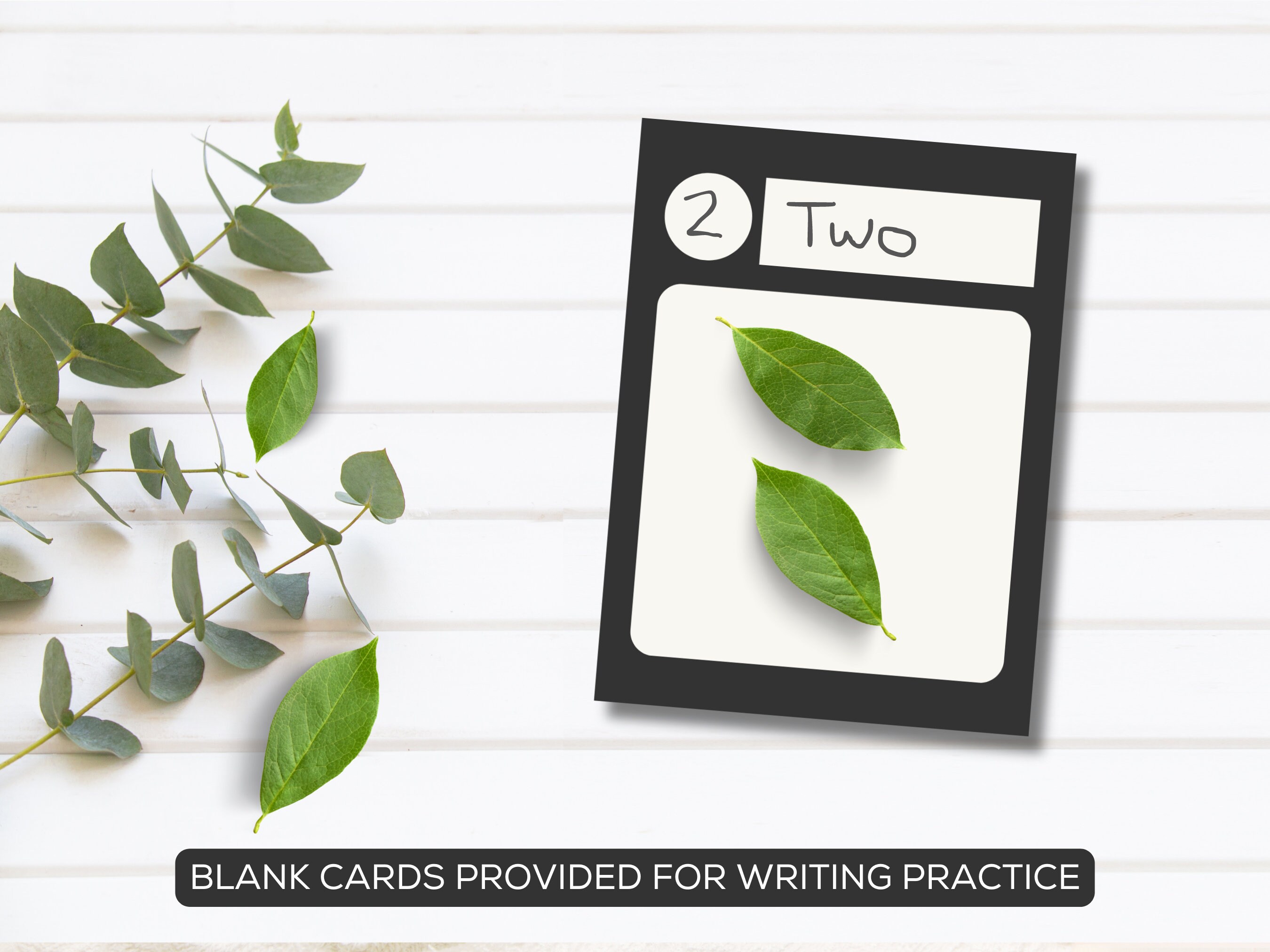 Number & Counting Display Cards - Reggio Emilia Math Provocation - Etsy