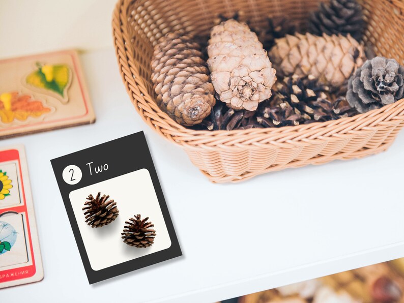 Number & Counting Display Cards - Reggio Emilia Math Provocation - Etsy