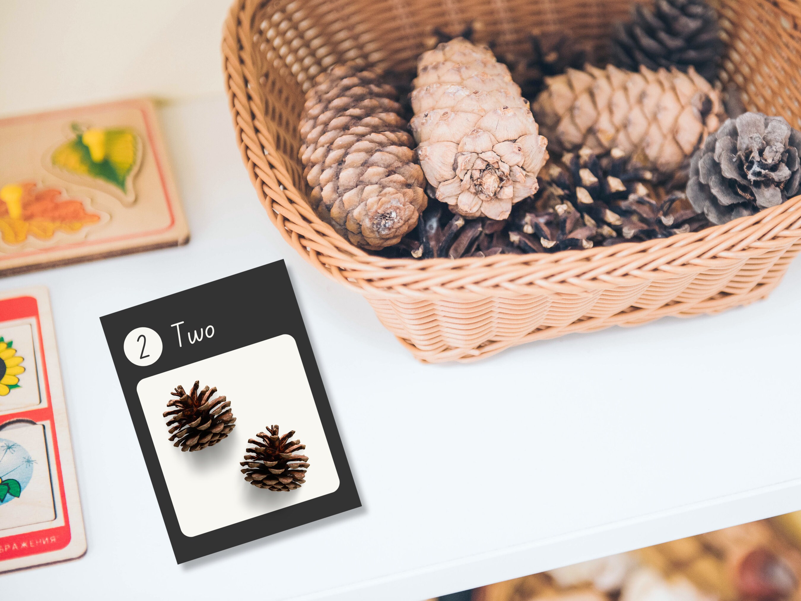 Number & Counting Display Cards - Reggio Emilia Math Provocation - Etsy