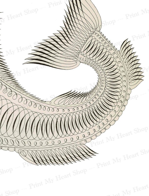 Digital Fish Calligraphy Wall Art - Digital Download PDF JPG PNG ...