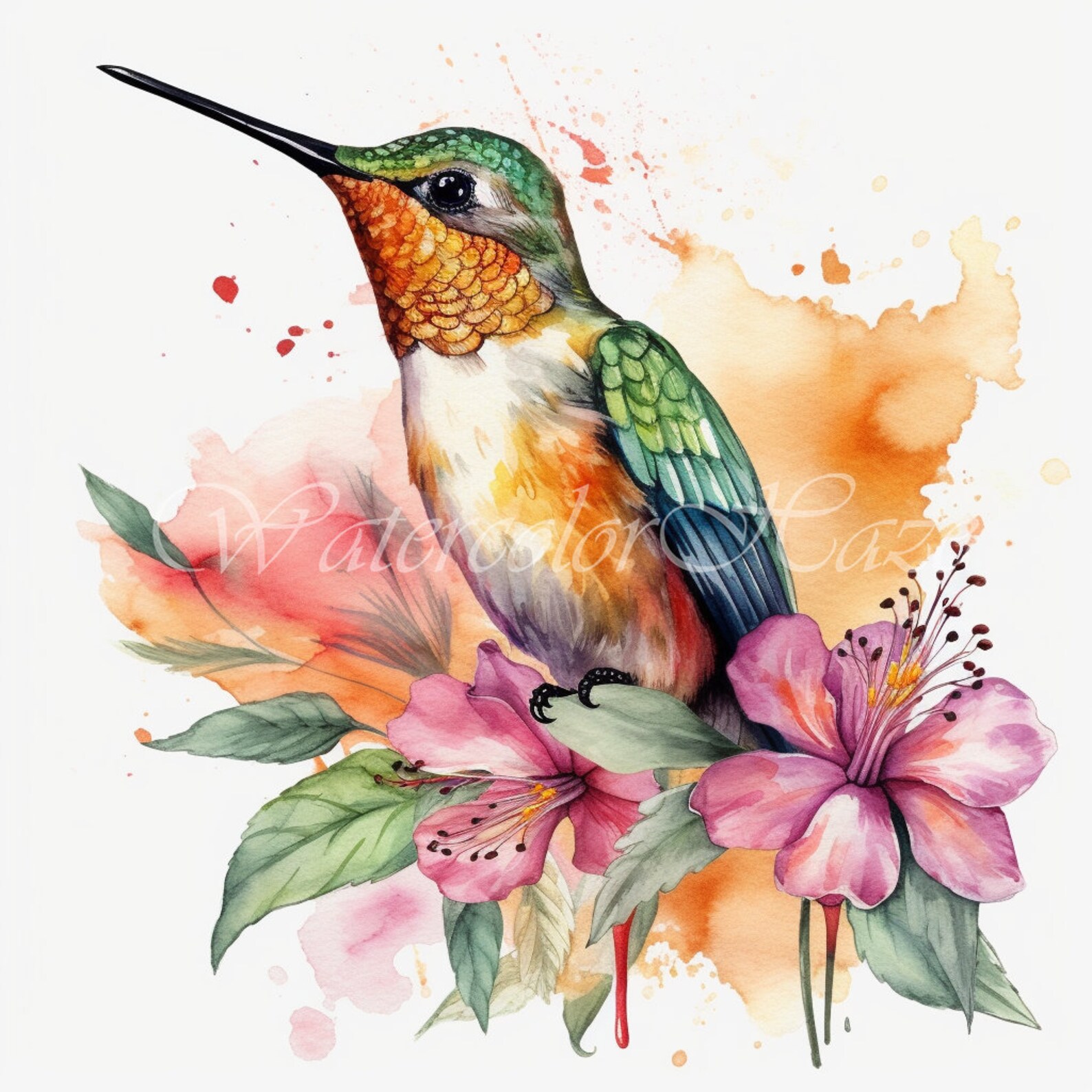 Watercolor Hummingbird Clip Art 4-pack - Digital Download (PNG, JPG ...