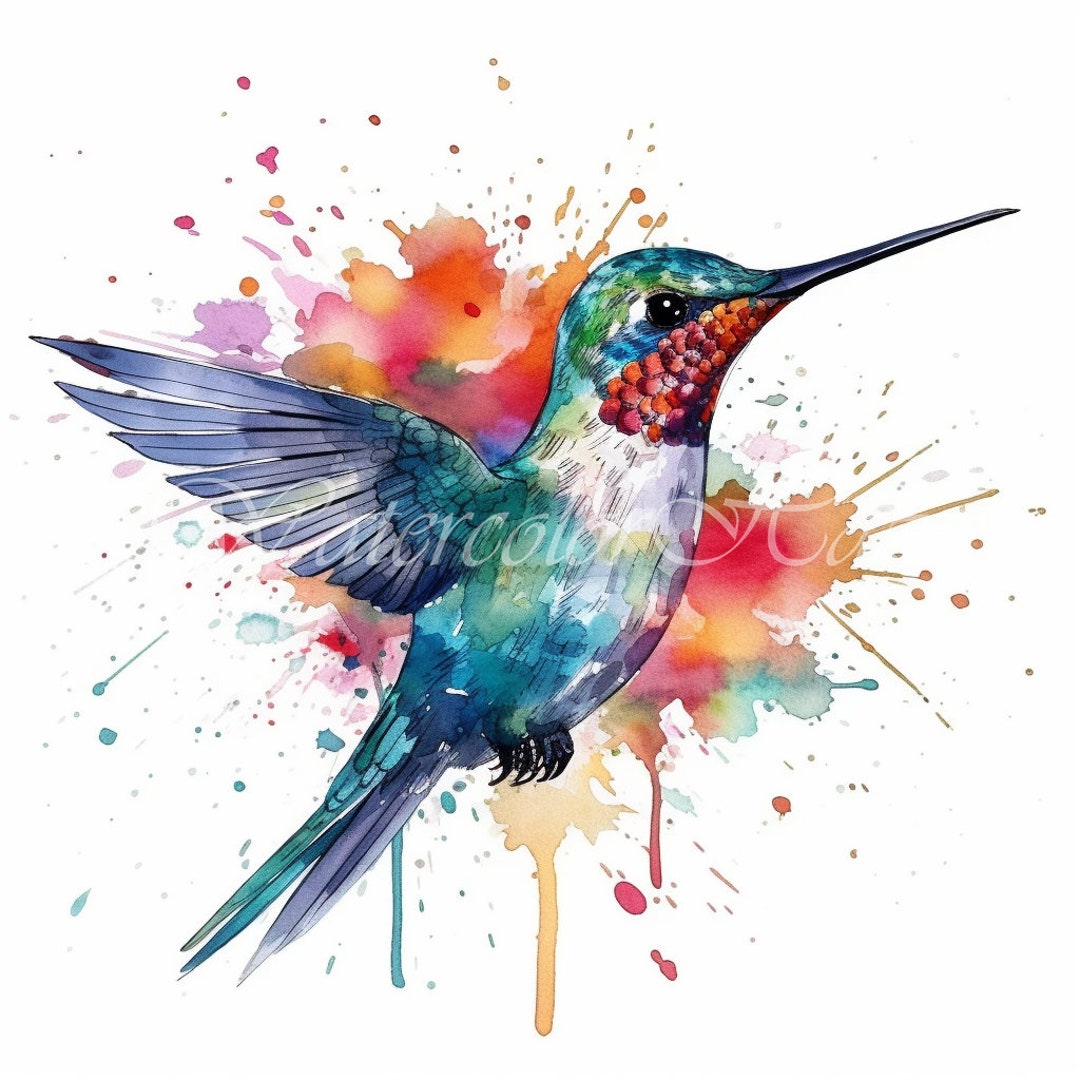 Watercolor Hummingbird Clip Art 4-pack - Digital Download (PNG, JPG ...