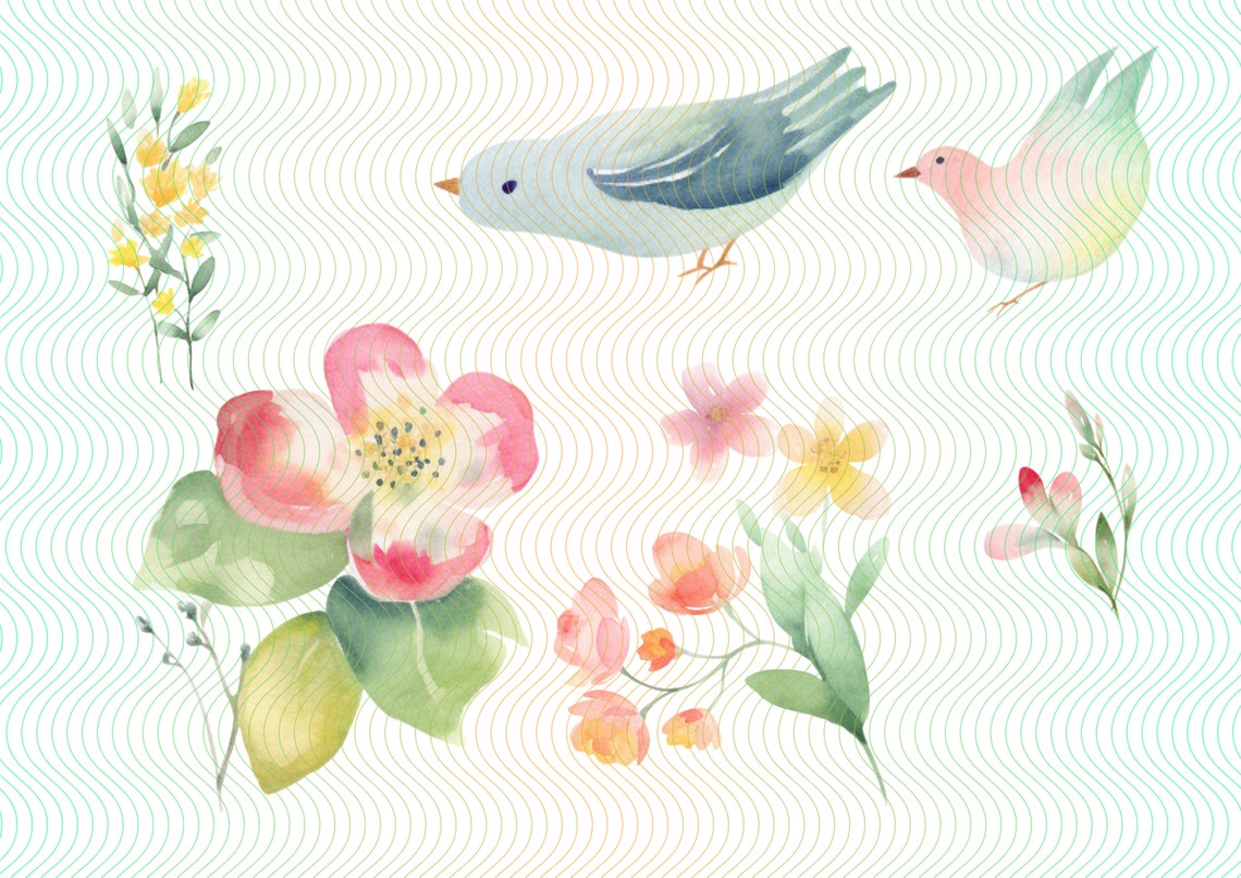 Spring Clip Art Bundle | Bird Clip Art | Spring Clip Art | Watercolor ...