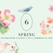 Spring Clip Art Bundle | Bird Clip Art | Spring Clip Art | Watercolor ...