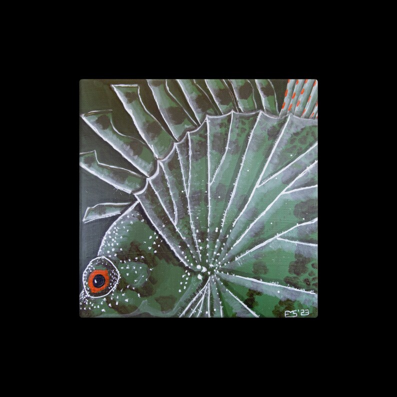 Watcher Canvas Print Hawaiian Green Lionfish, Nohu Pinao, Turkeyfish ...