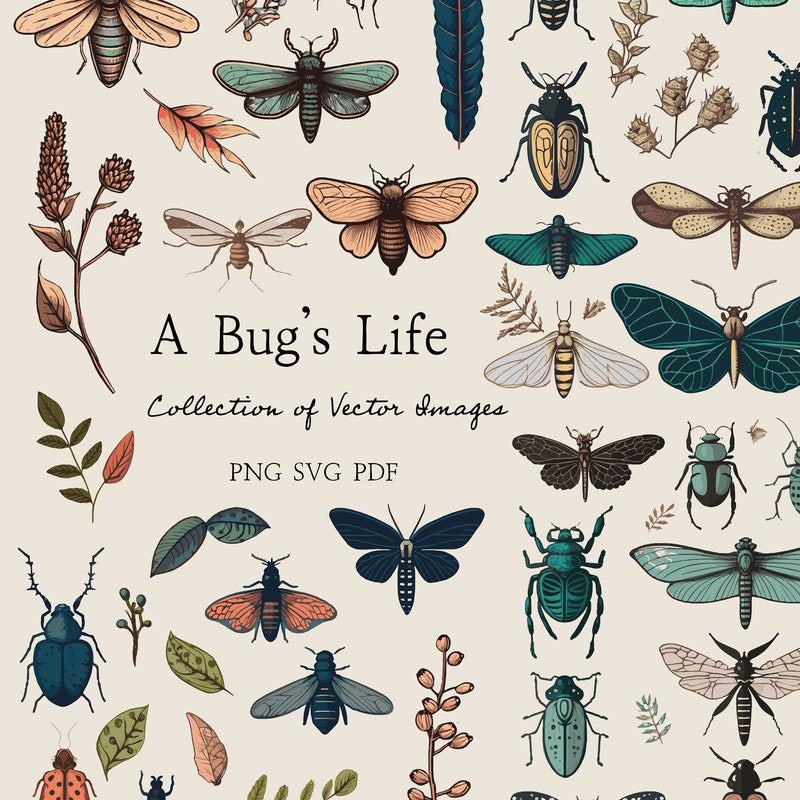 Antique Bug Collection - Etsy