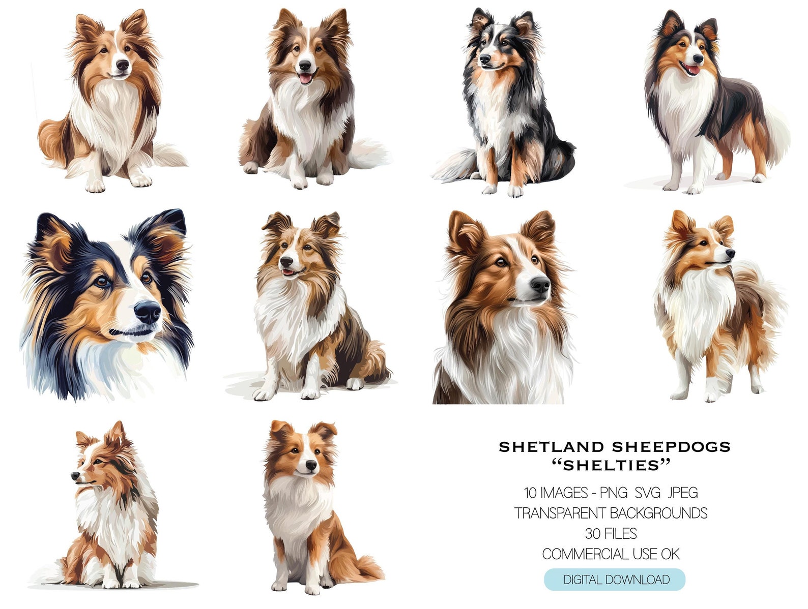 Sheltie Clip Art: Shetland Sheepdog PNG, SVG, JPG (digital Download) - Etsy