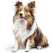 Sheltie Clip Art: Shetland Sheepdog PNG, SVG, JPG (digital Download) - Etsy