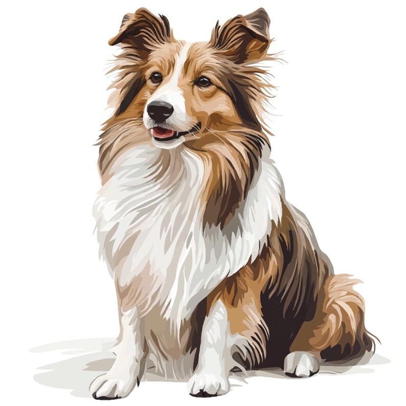 Sheltie Clip Art: Shetland Sheepdog PNG, SVG, JPG (digital Download) - Etsy