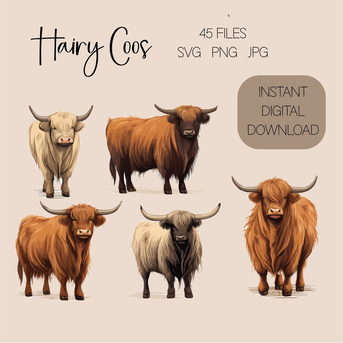 15 Hairy Coos Clip Art Collection Whimsical Style Drawn - Etsy