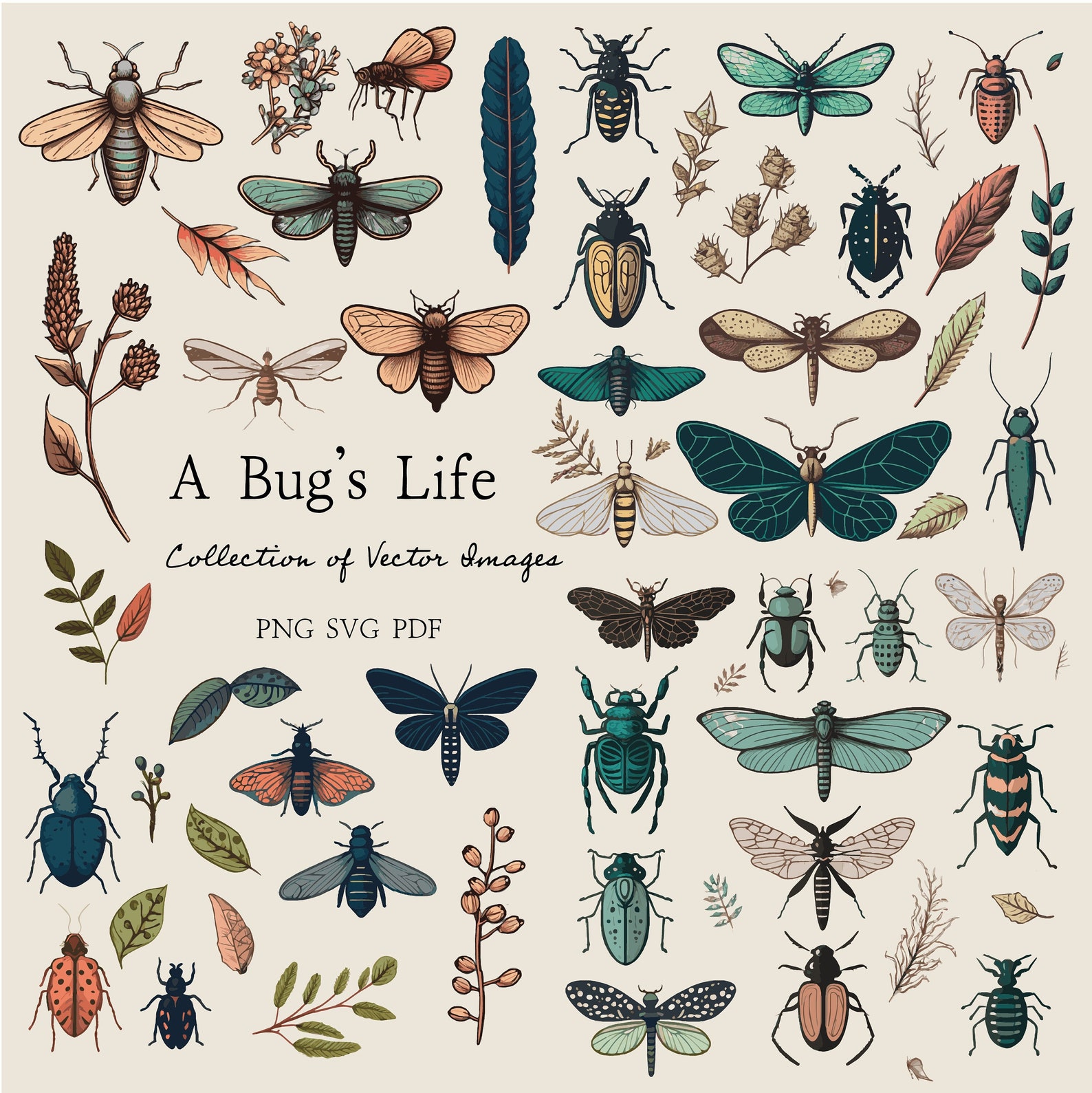 A Bug's Life Vector Clip Art Collection - Boho Whimsical Style Drawn ...