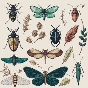 A Bug's Life Vector Clip Art Collection - Boho Whimsical Style Drawn ...
