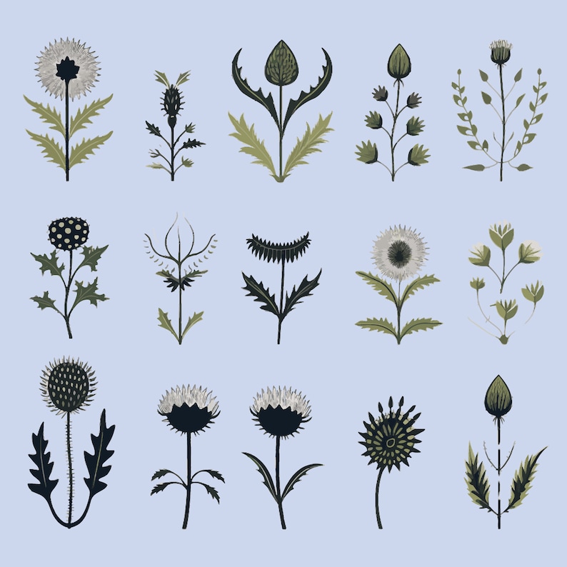 Scottish Thistle Clip Art: Boho PNG SVG JPG Collection (commercial Use ...