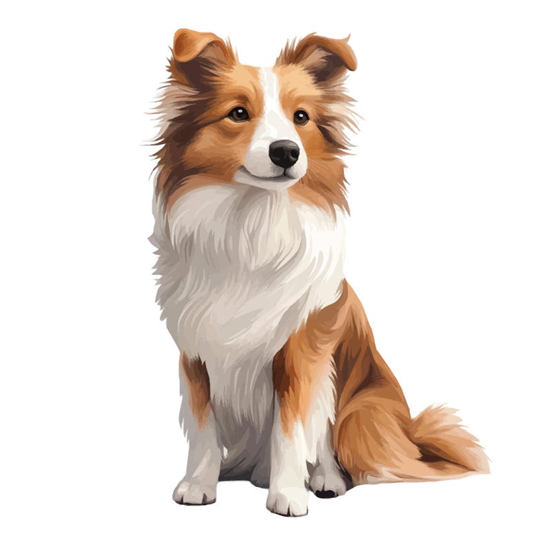 Sheltie Clip Art: Shetland Sheepdog PNG, SVG, JPG (digital Download) - Etsy