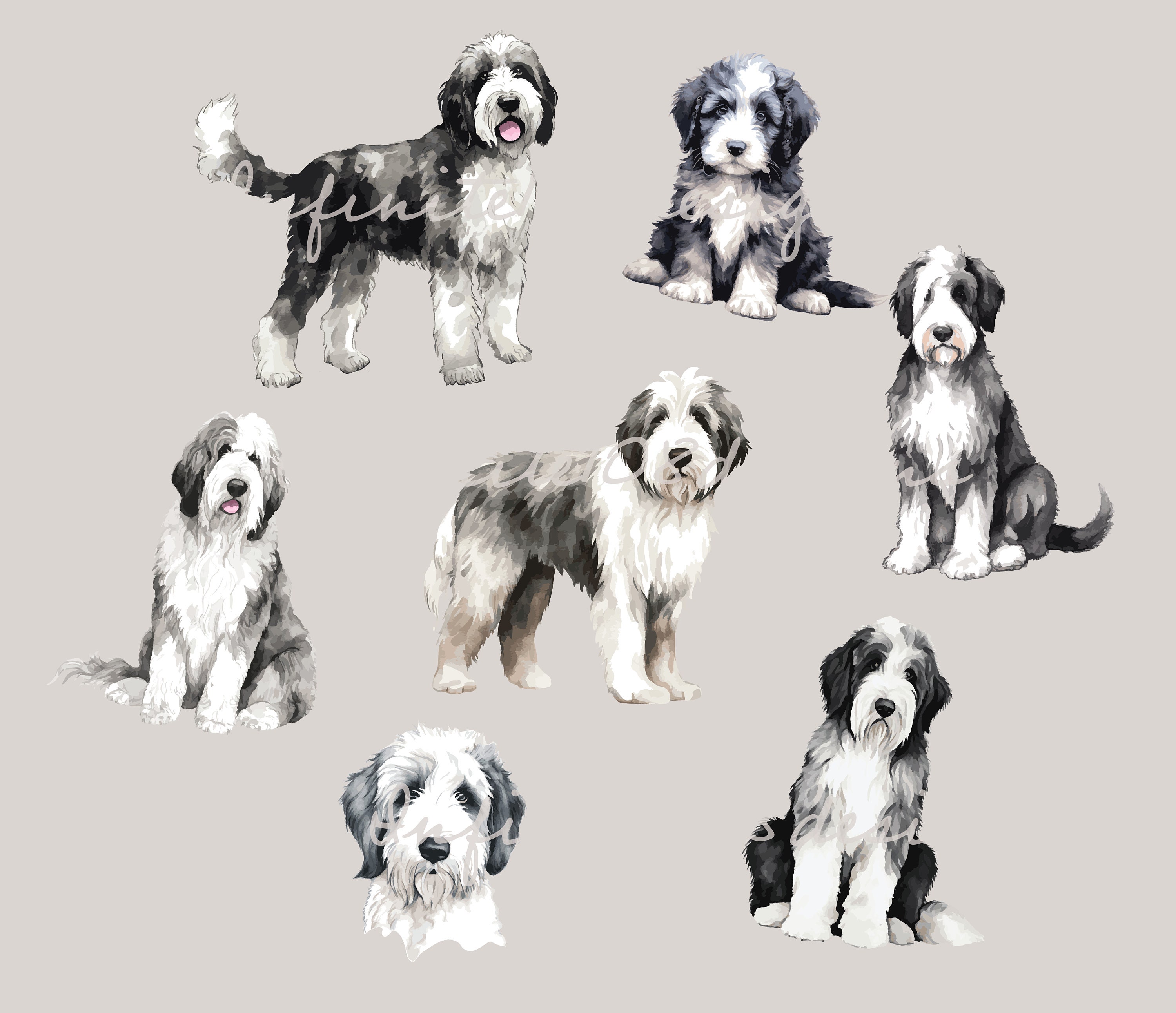 Sheepadoodle Clip Art: Watercolor Dog PNG & SVG Bundle (digital ...