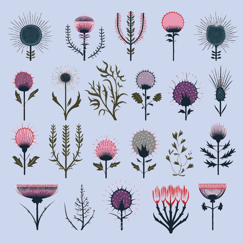 Scottish Thistle Clip Art: Boho PNG SVG JPG Collection (commercial Use ...
