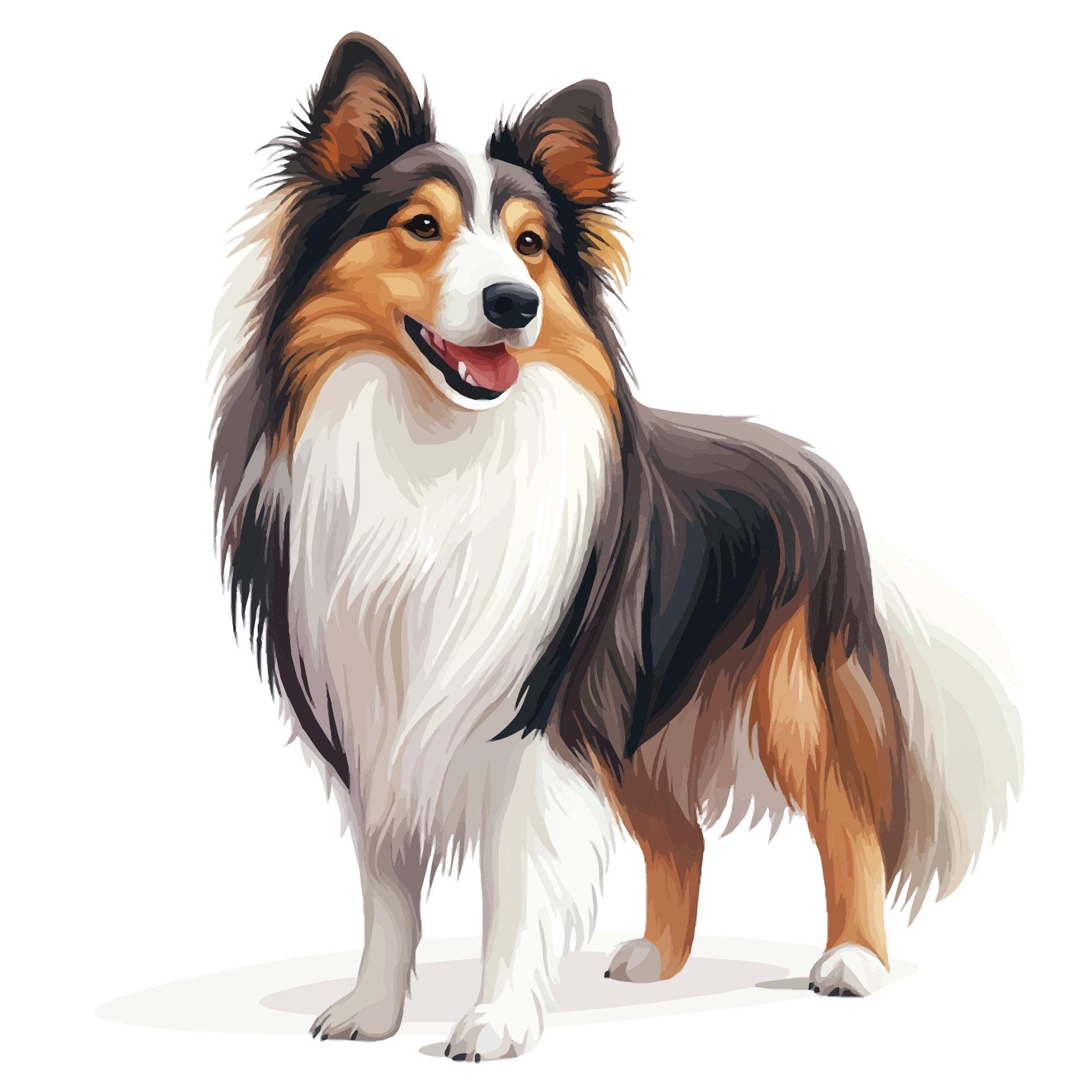 Sheltie Clip Art: Shetland Sheepdog PNG, SVG, JPG (digital Download) - Etsy