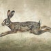 Rabbit Running Art Print Vintage Woodland Leaping Hare Download High ...