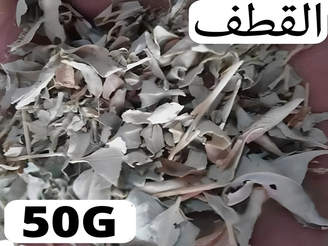 Organic Atriplex Halimus Freshly Dried Herb 100% Natural 50-230G القطف ...