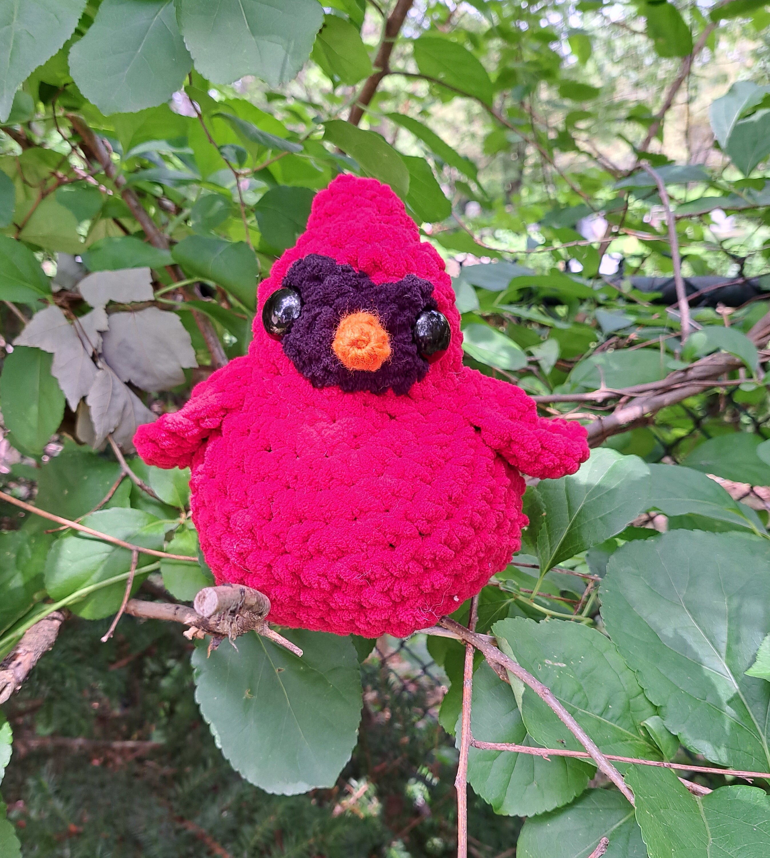 Red Cardinal Crochet Plush - Etsy