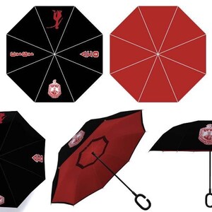 Delta Sigma Theta Umbrella - Inverted - Etsy