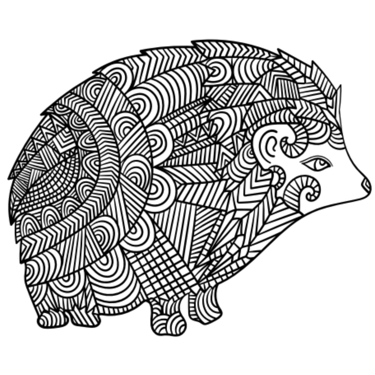 100 Digital Adult Mandala Coloring Pages With Animals Affirmations and ...
