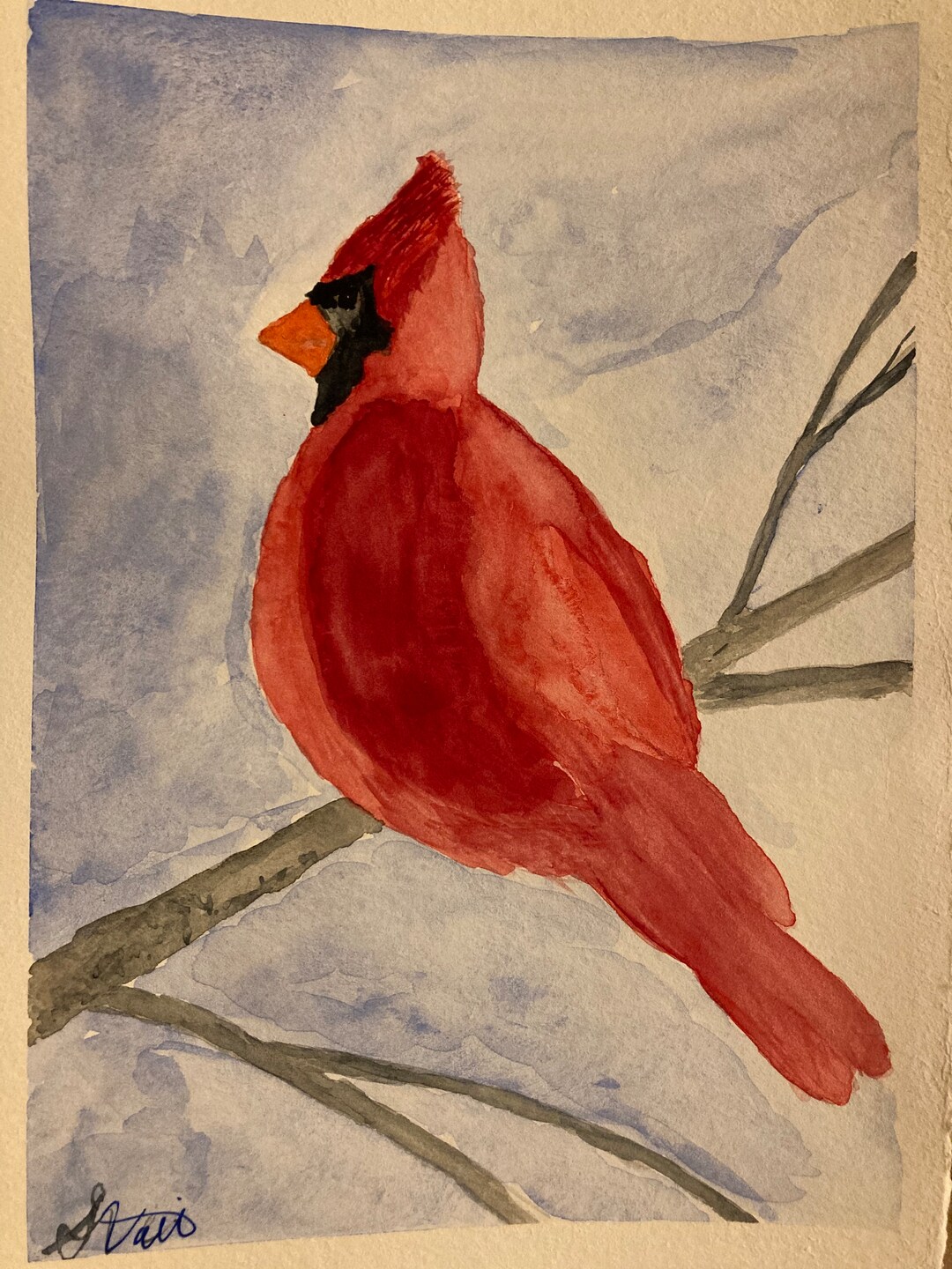 Watercolor Cardinal Bird - Etsy