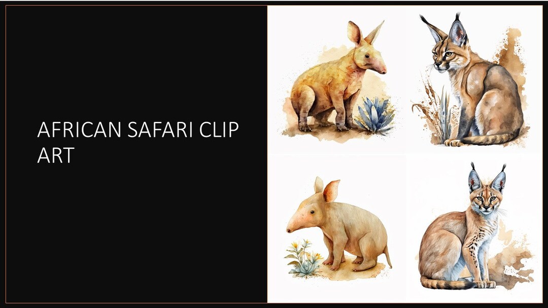 African Safari-clip Art- Bundle-22 Animals-44 Images-high Quality ...