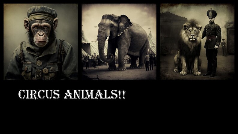 Creepy Circus MEGA Bundle-clowns-freaks-animals and Moredigital ...