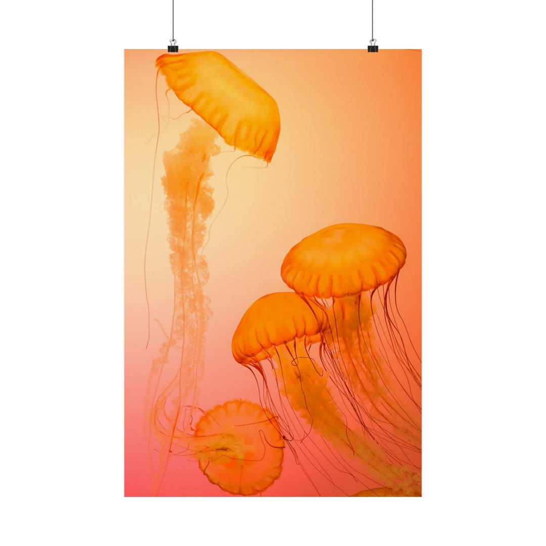 Orange Jelly Fish Matte Vertical Posters, Ocean, Sea, Creatures, Fish ...