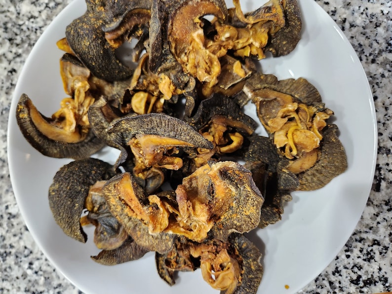 Oven Dry Snails- Jumbo & Extra Jumbo/ Bush Snails/6pieces per Pack - Etsy