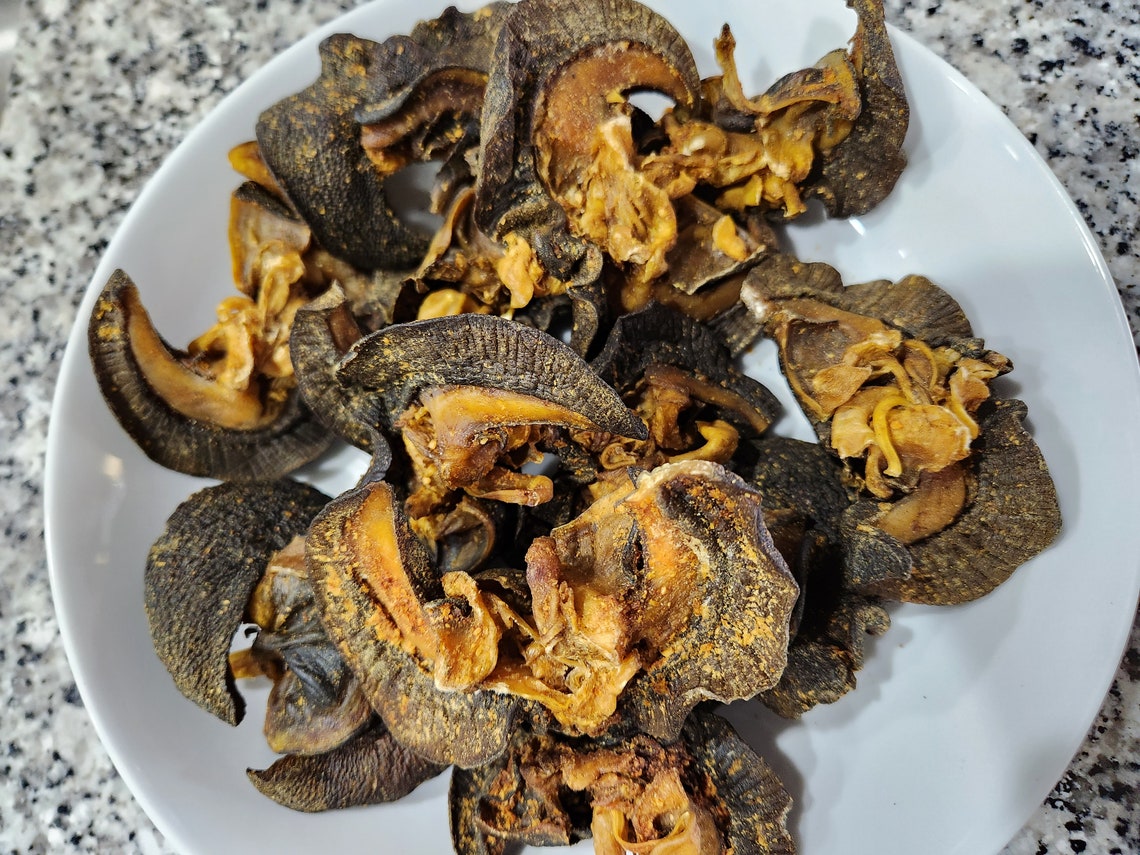 Oven Dry Snails- Jumbo & Extra Jumbo/ Bush Snails/6pieces per Pack - Etsy