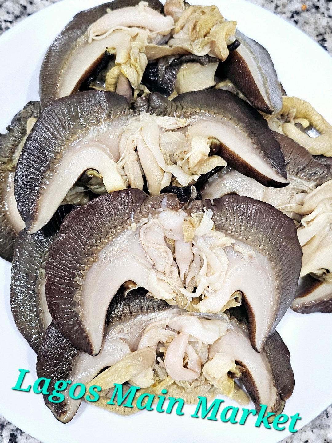10 Big Fresh Organic Snail/ Big Size/washed Snails/jumbo Snail/ Bush ...
