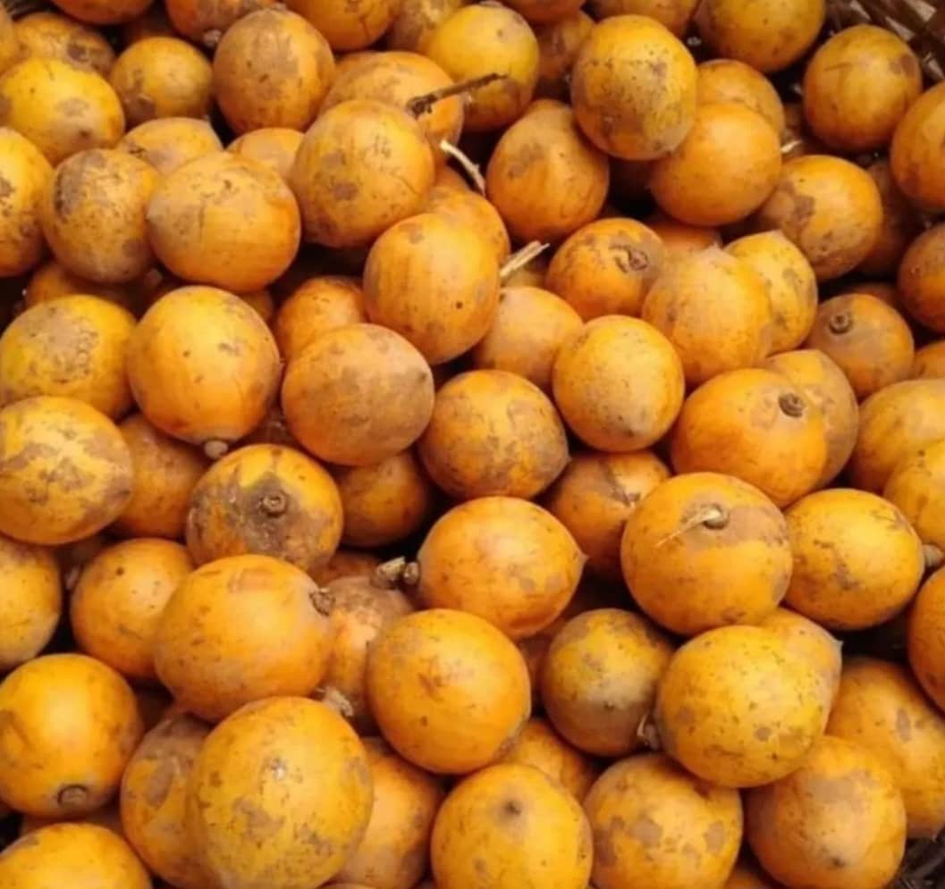 20PCS Sweet Agbalumo/ Sugar Taste Agbalumo/ READ DETAILS Before ...