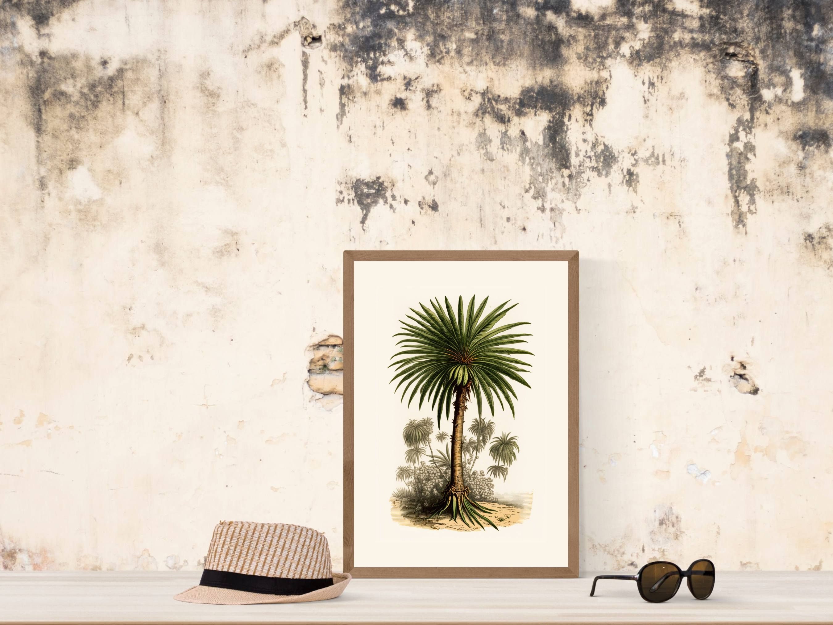 Vintage Palm Art, Antique Palm Tree, Digital Download, Tropical Wall ...