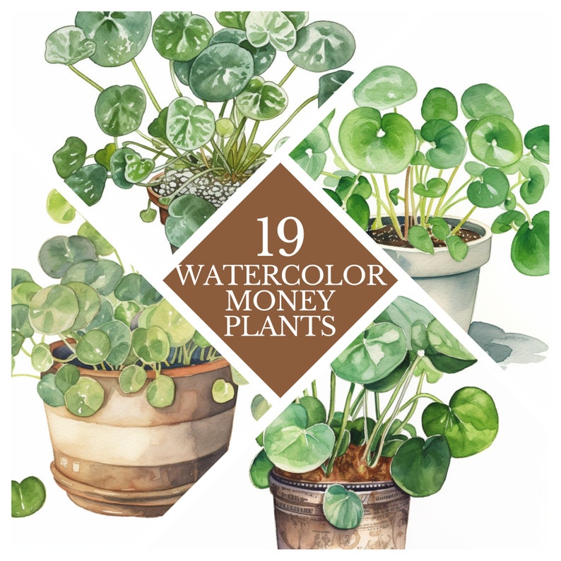 Watercolor Money Plant Clipart / Botanical Art / Bontanical - Etsy