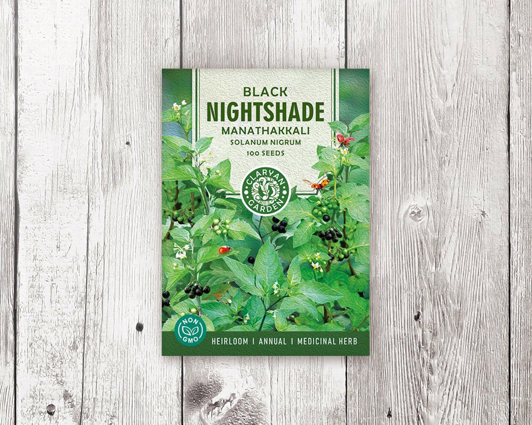 Black Nightshade 100 Seeds NON-GMO Open Pollinated. Grow Herbs at Home ...