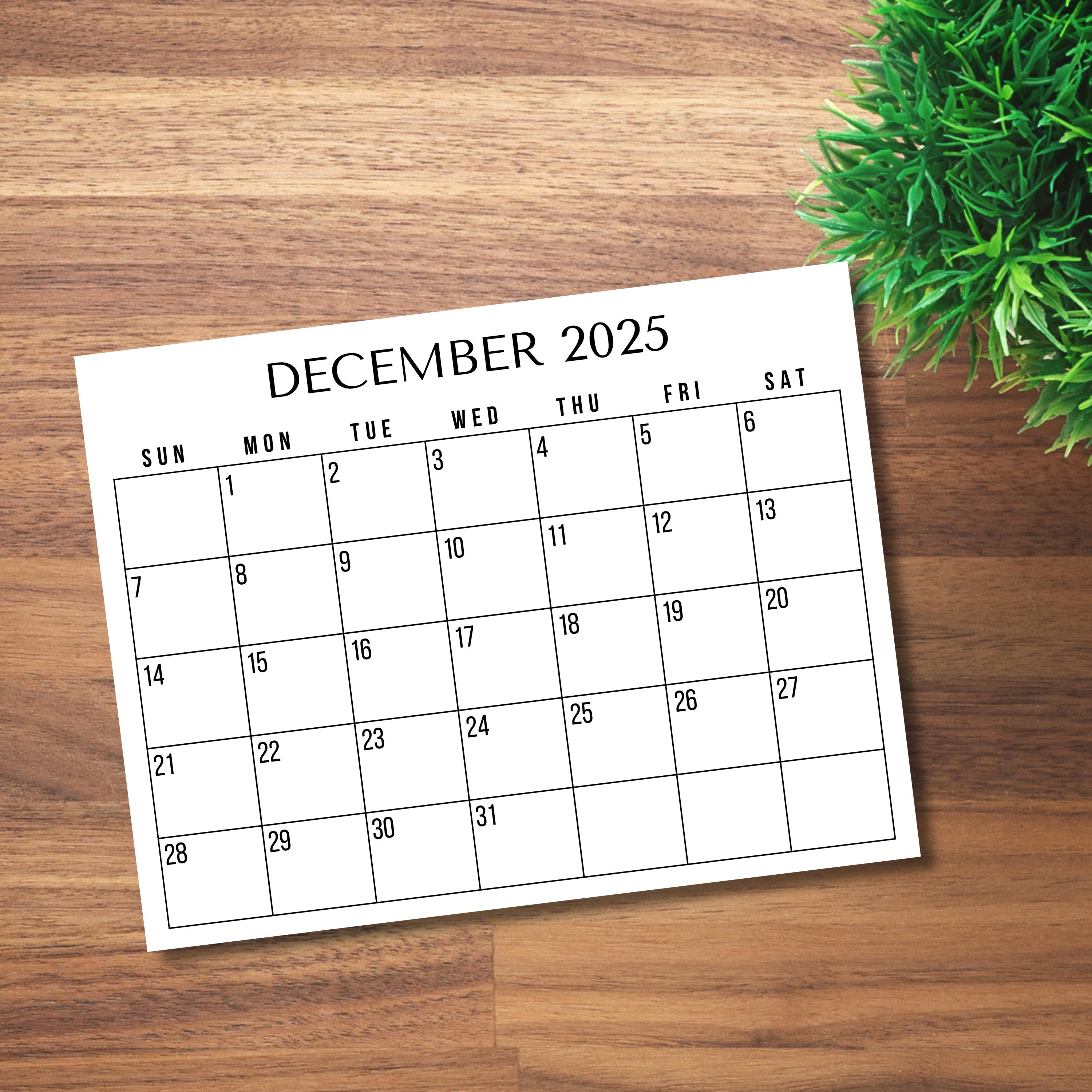 2025 Monthly Calendar Minimalist Monthly Calendar Printable 2025 ...