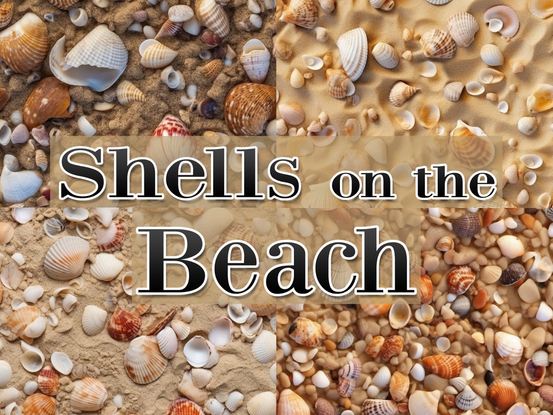 10 Seamless Digital Tiles, Shells on the Beach - Etsy